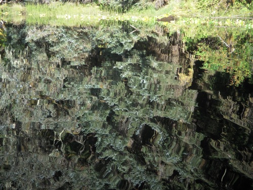 Walking Auke Lake – How do we do that? | Clarissa Rizal Blog