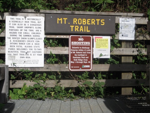 Hiking Mt. Roberts Trail in Sunny Juneau, Alaska | Clarissa Rizal Blog