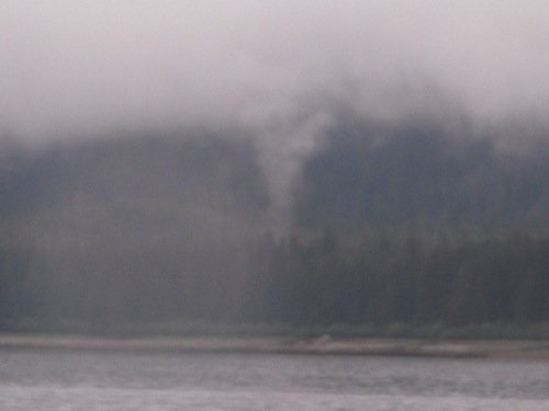 Ever Wonder How Northwest Tlingit Form Line Art Came to Be | Clarissa ...