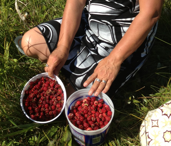 Berries: Fruit of the Northern Climes | Clarissa Rizal Blog