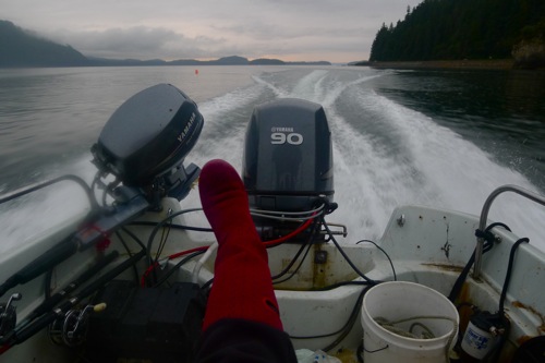 Bogs in Alaskan Bogs | Clarissa Rizal Blog